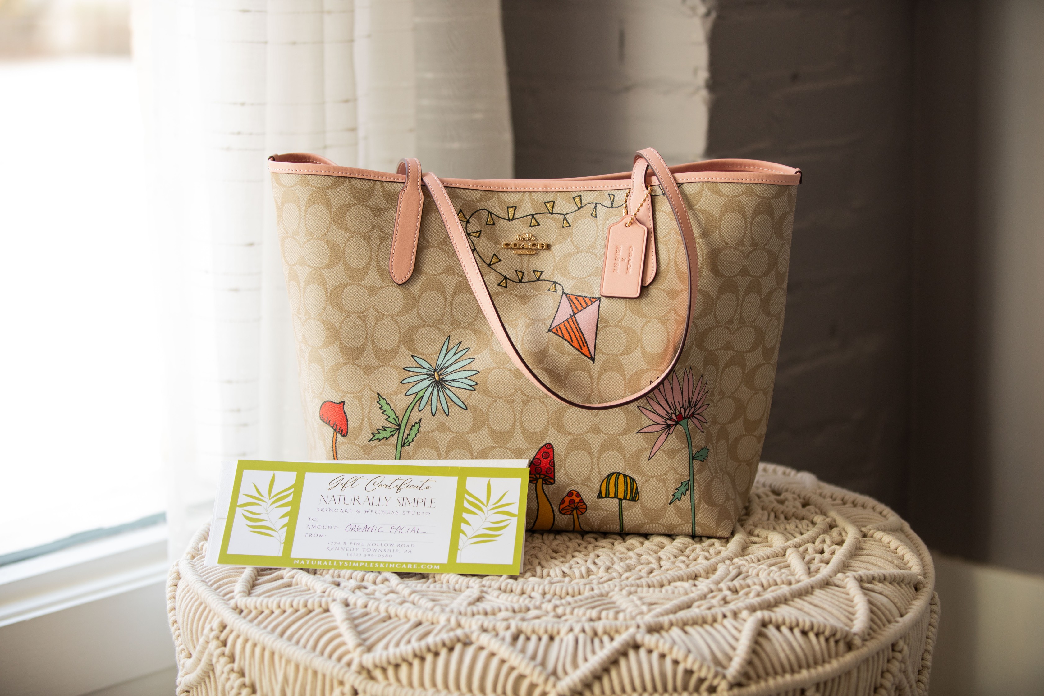Purse Fundraiser – Alina's Light