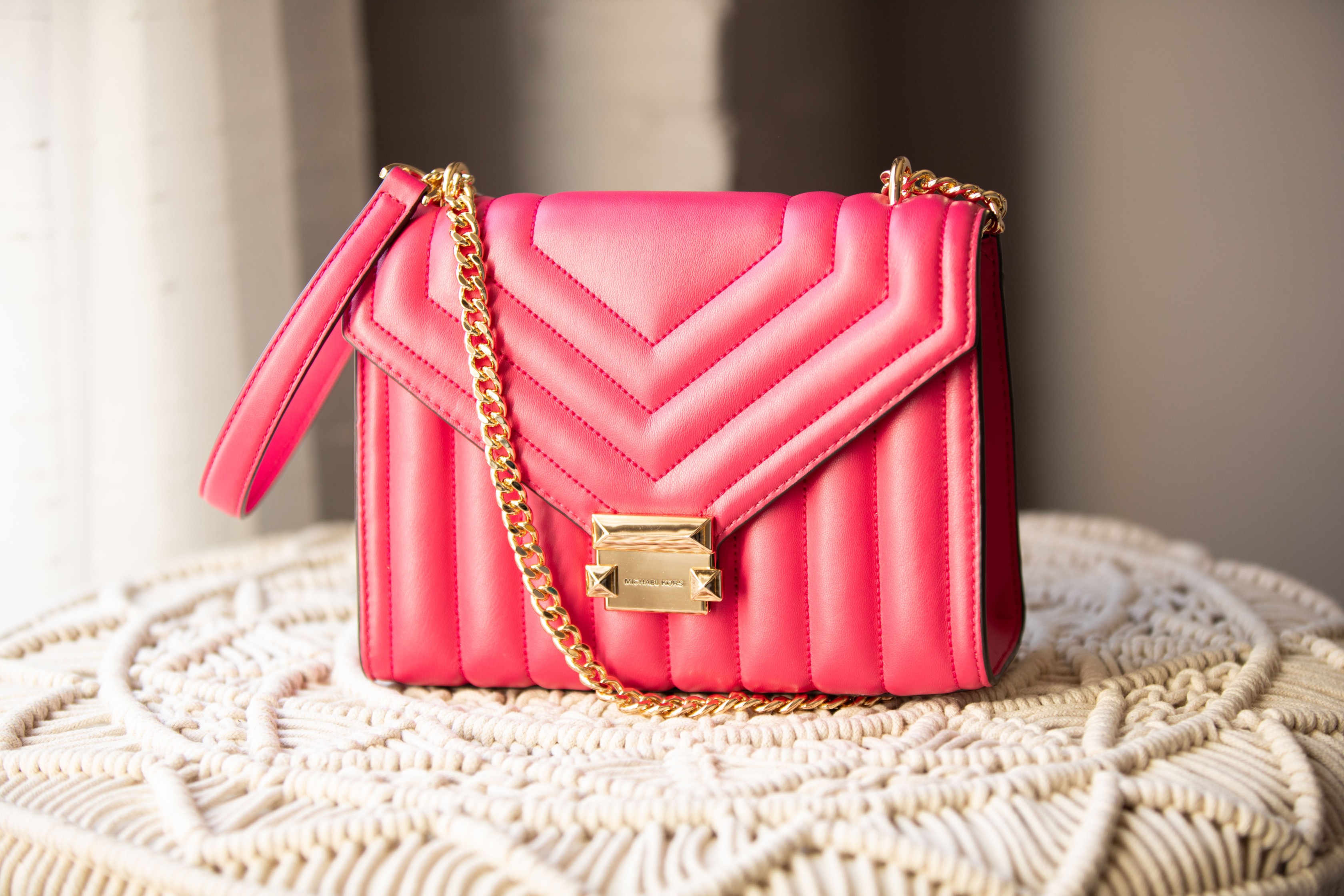 Purse Fundraiser – Alina's Light